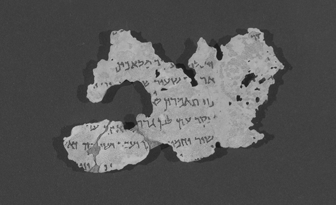 Collections | Museum of the Bible