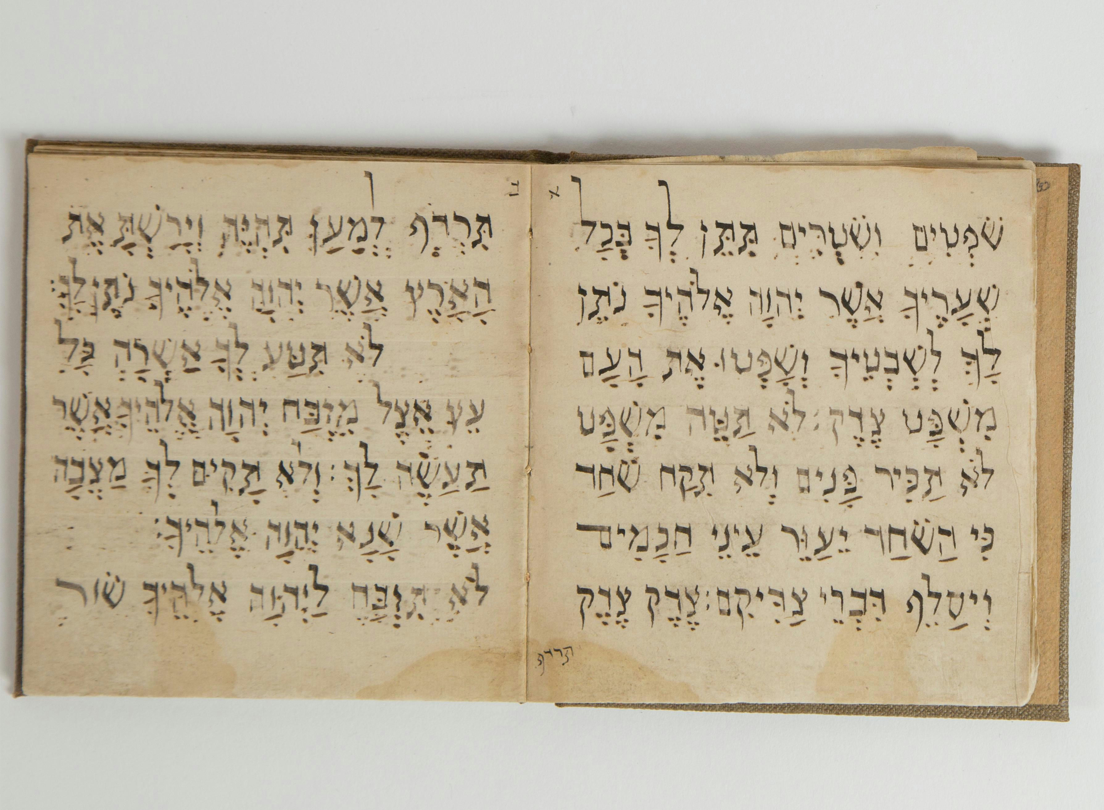 Home | Museum of the Bible