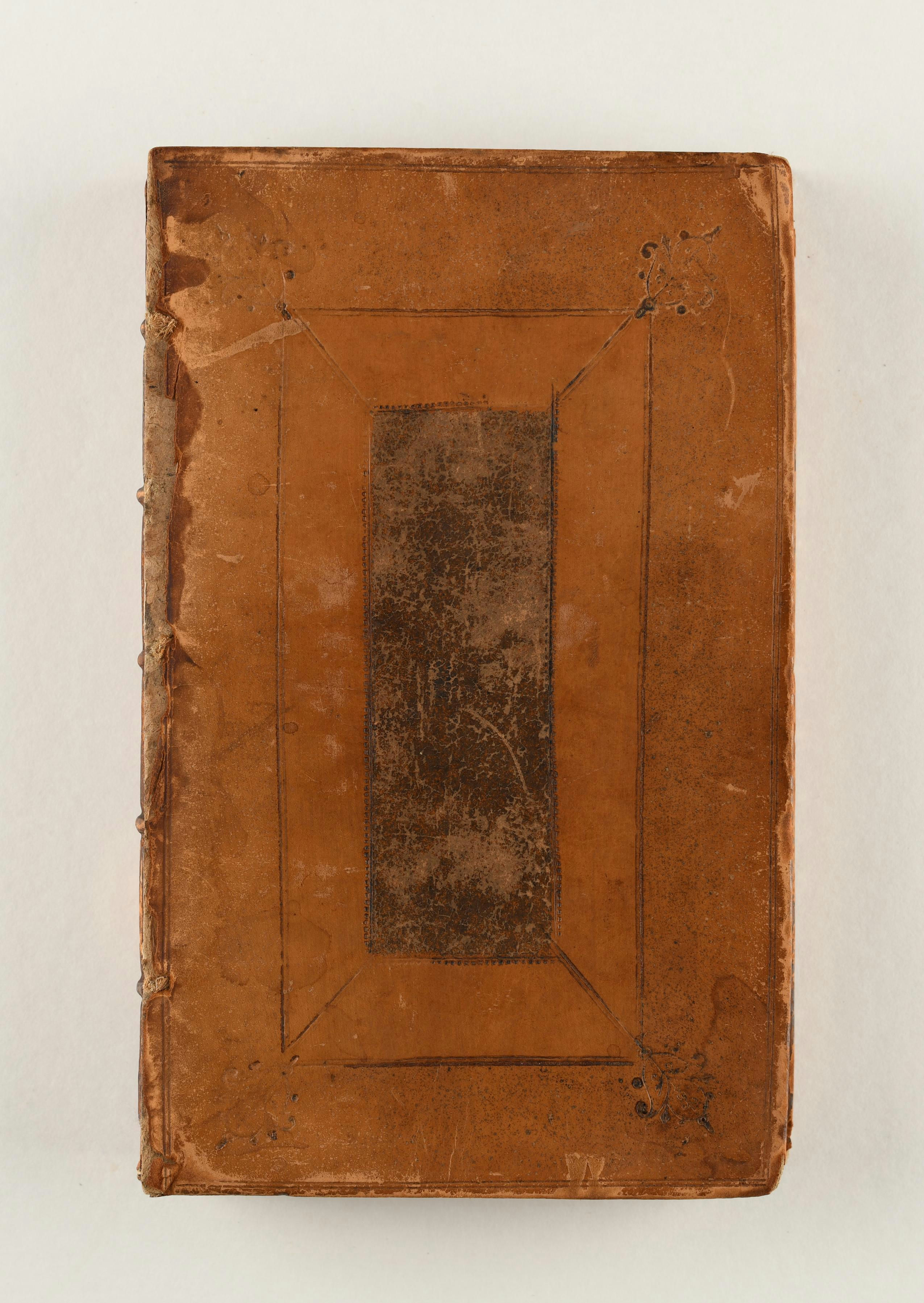 Home | Museum of the Bible