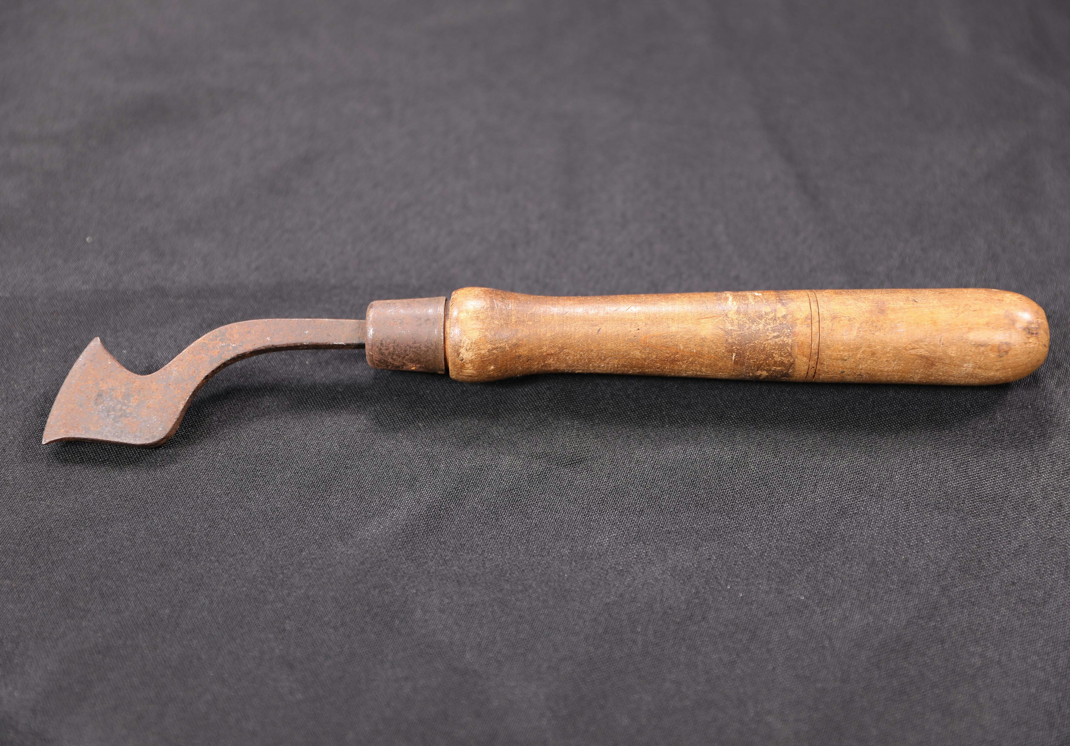 Home | Museum of the Bible