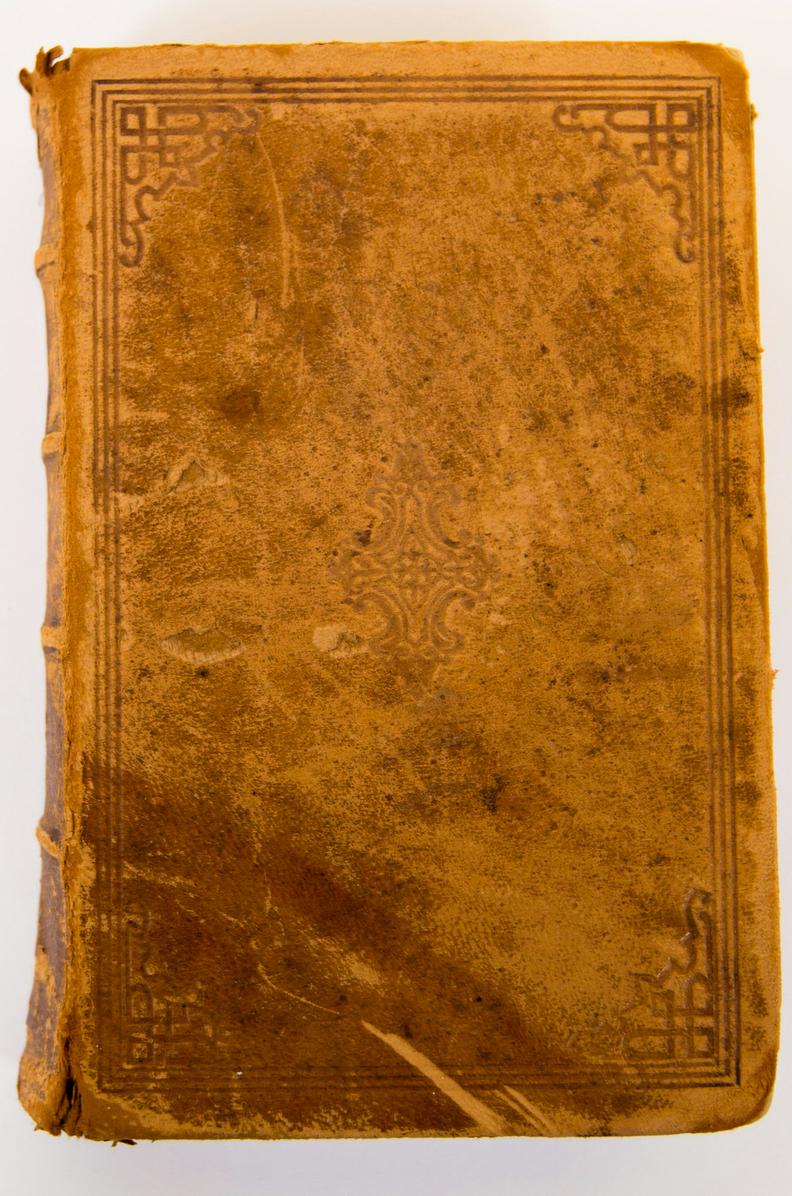 Home | Museum of the Bible