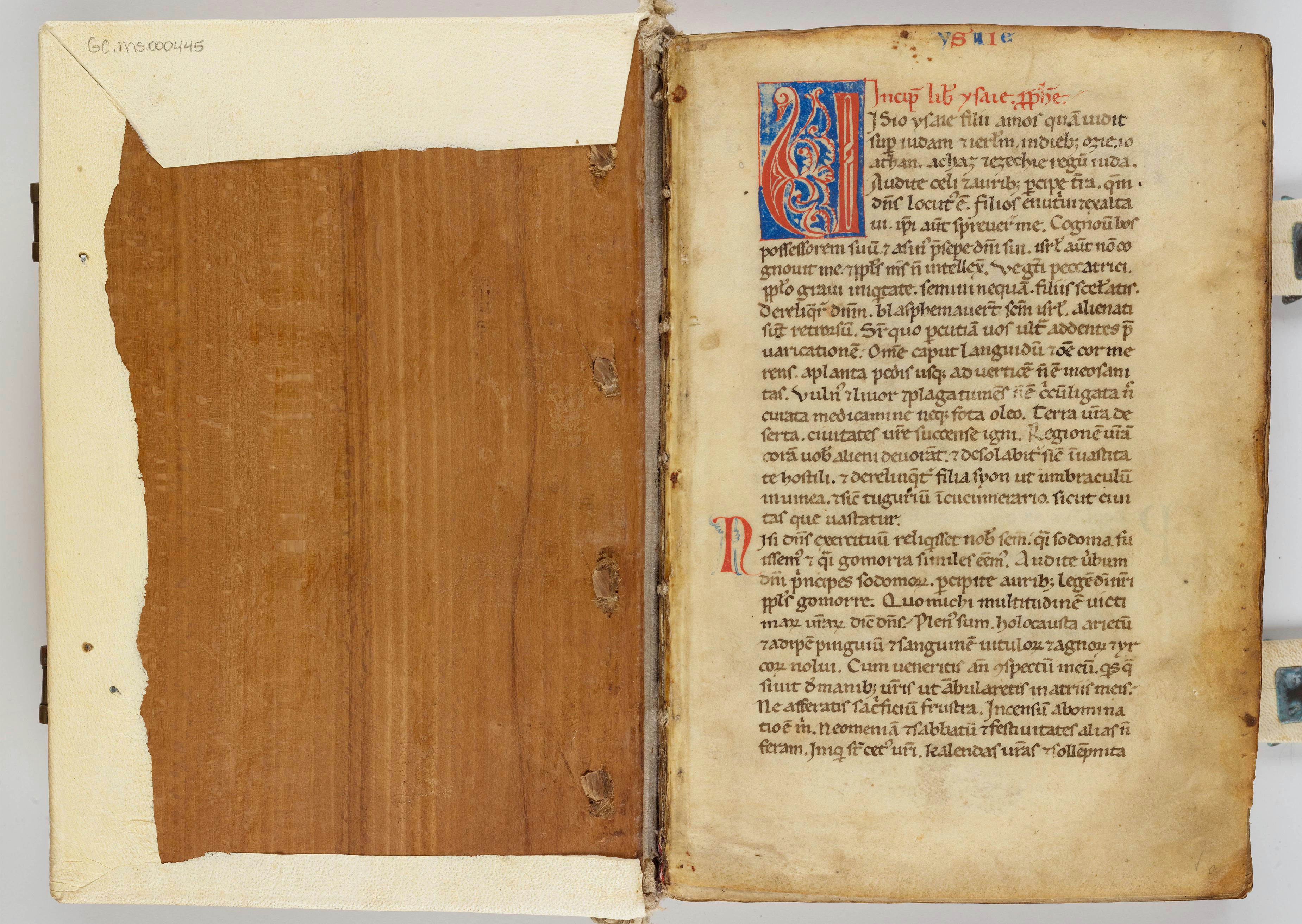 Home | Museum of the Bible