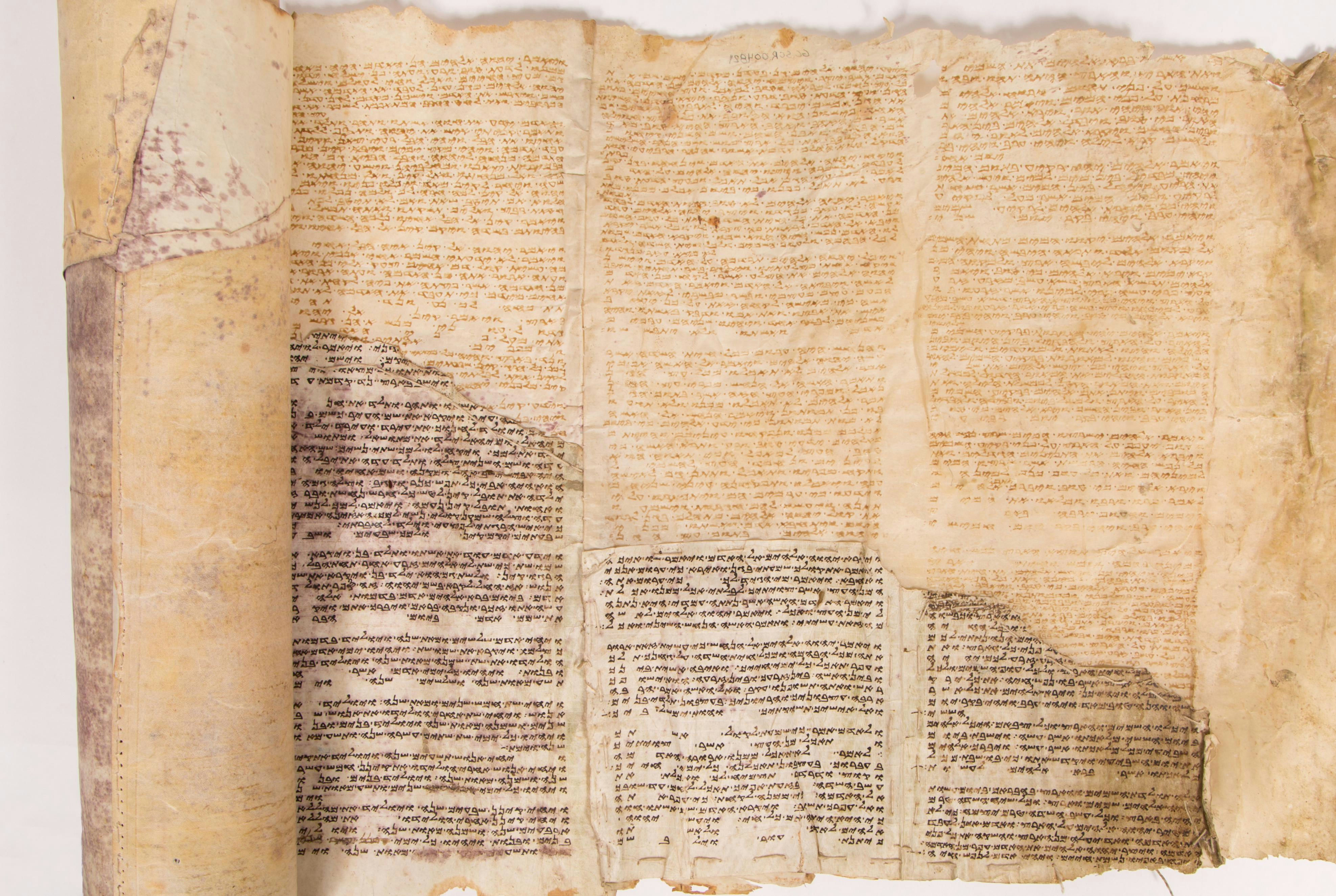 Home | Museum of the Bible