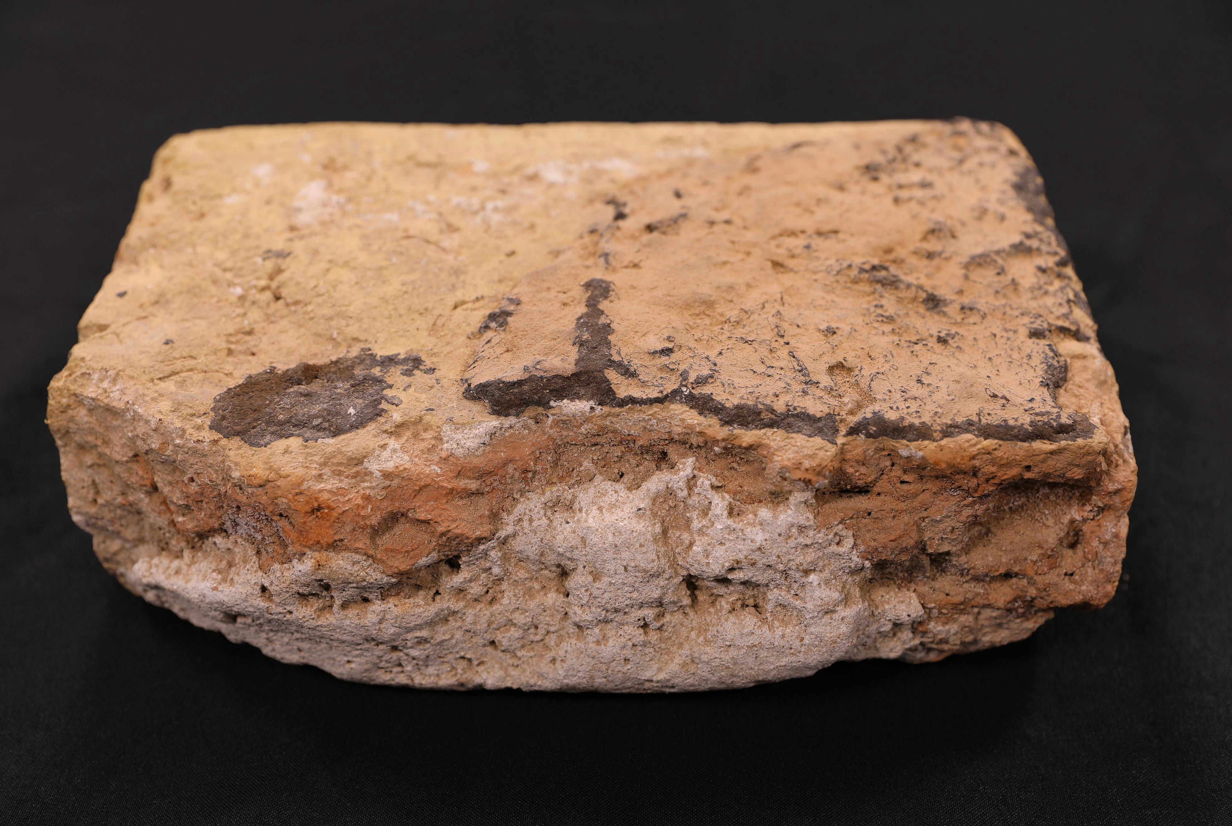 Home | Museum of the Bible