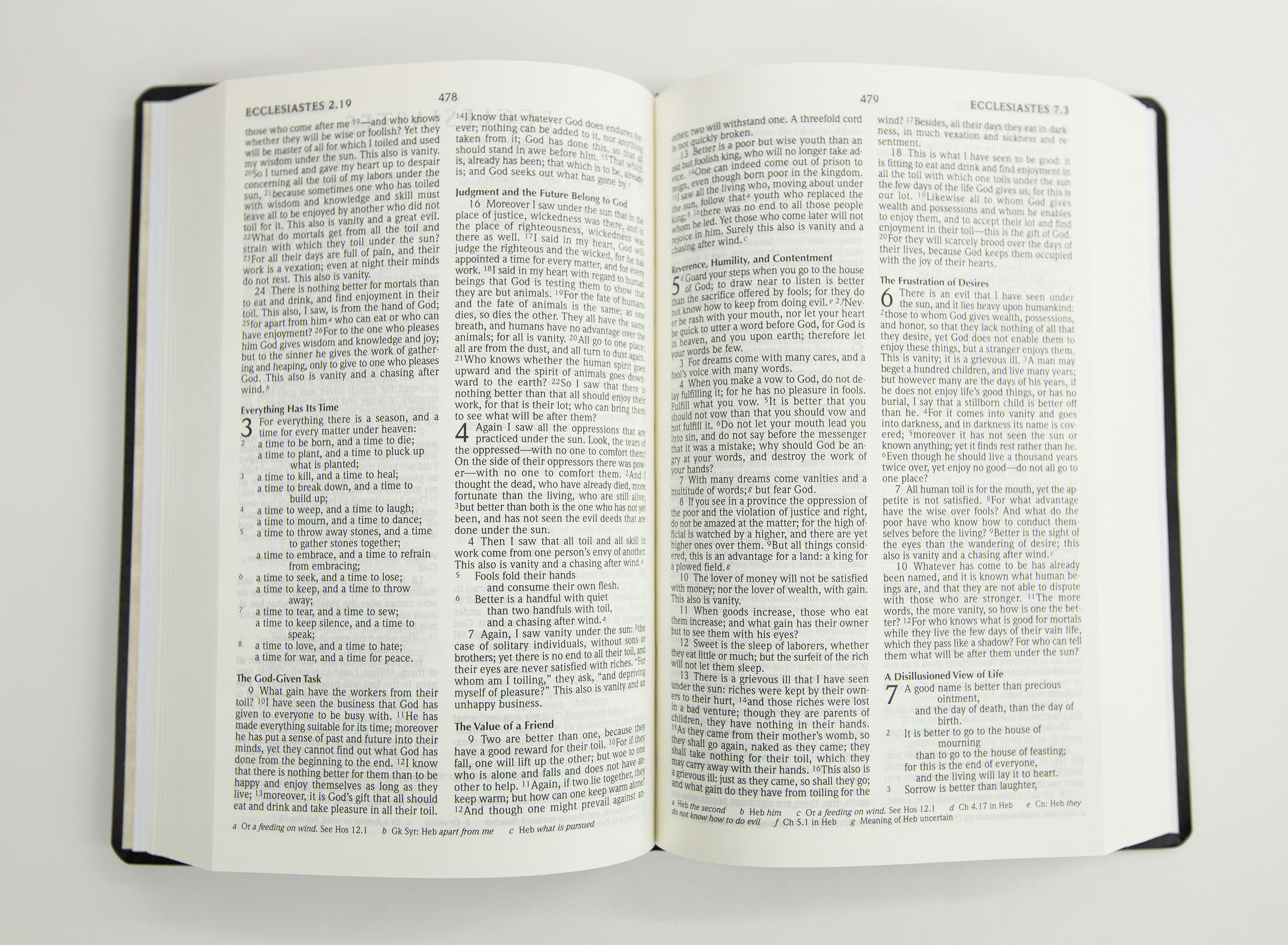 Collections | Museum of the Bible