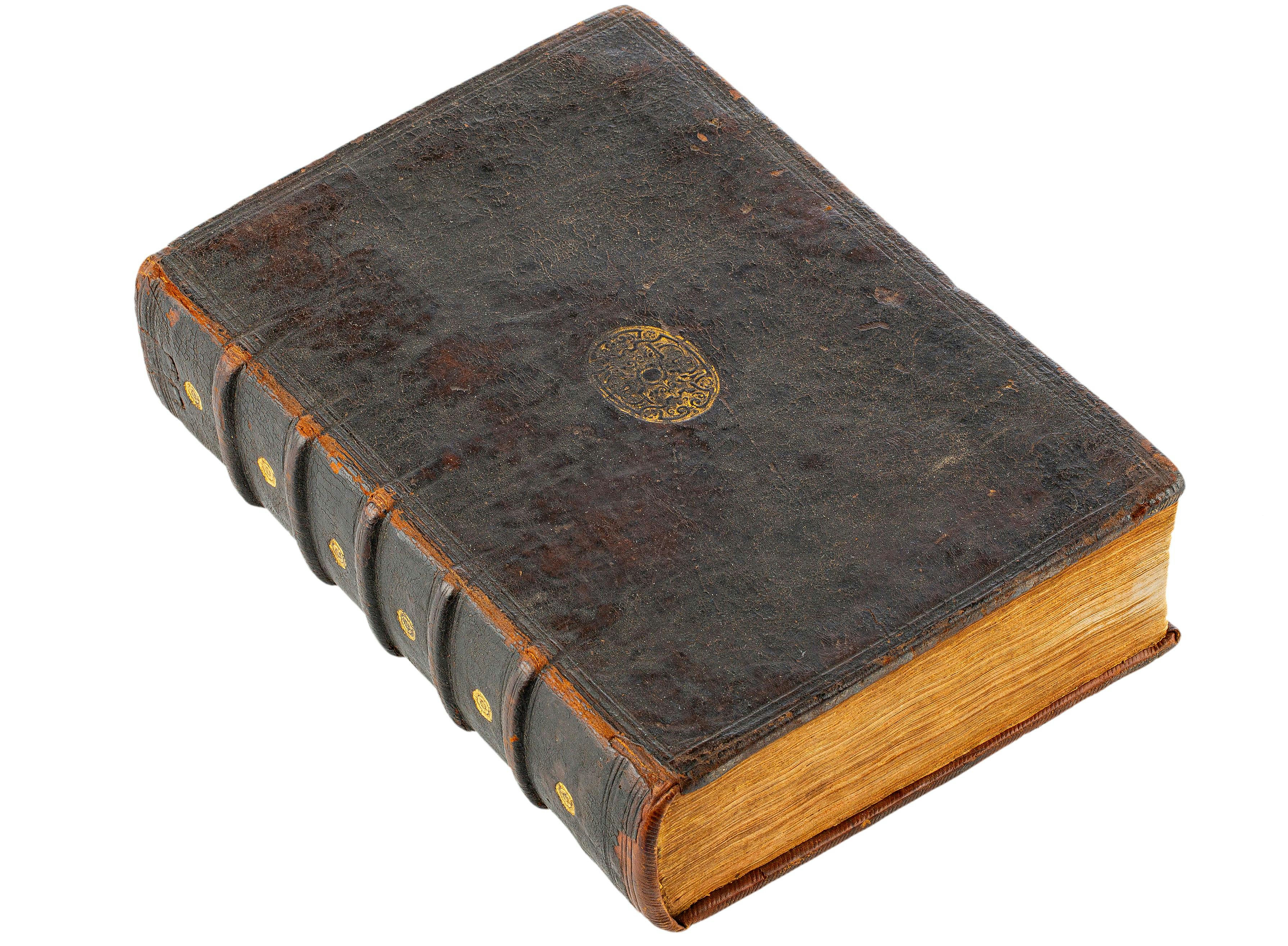 Home | Museum of the Bible