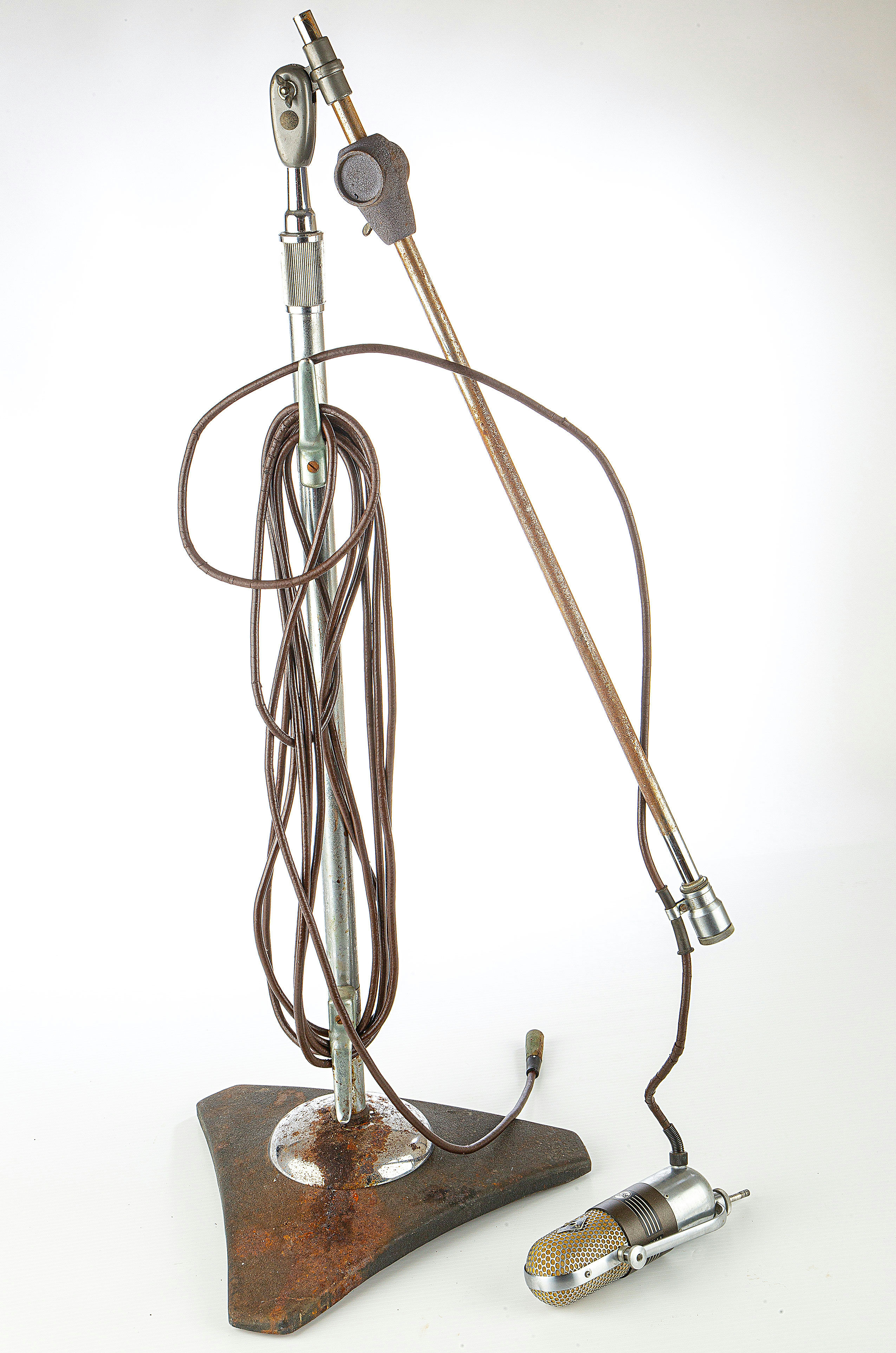 Home | Museum of the Bible