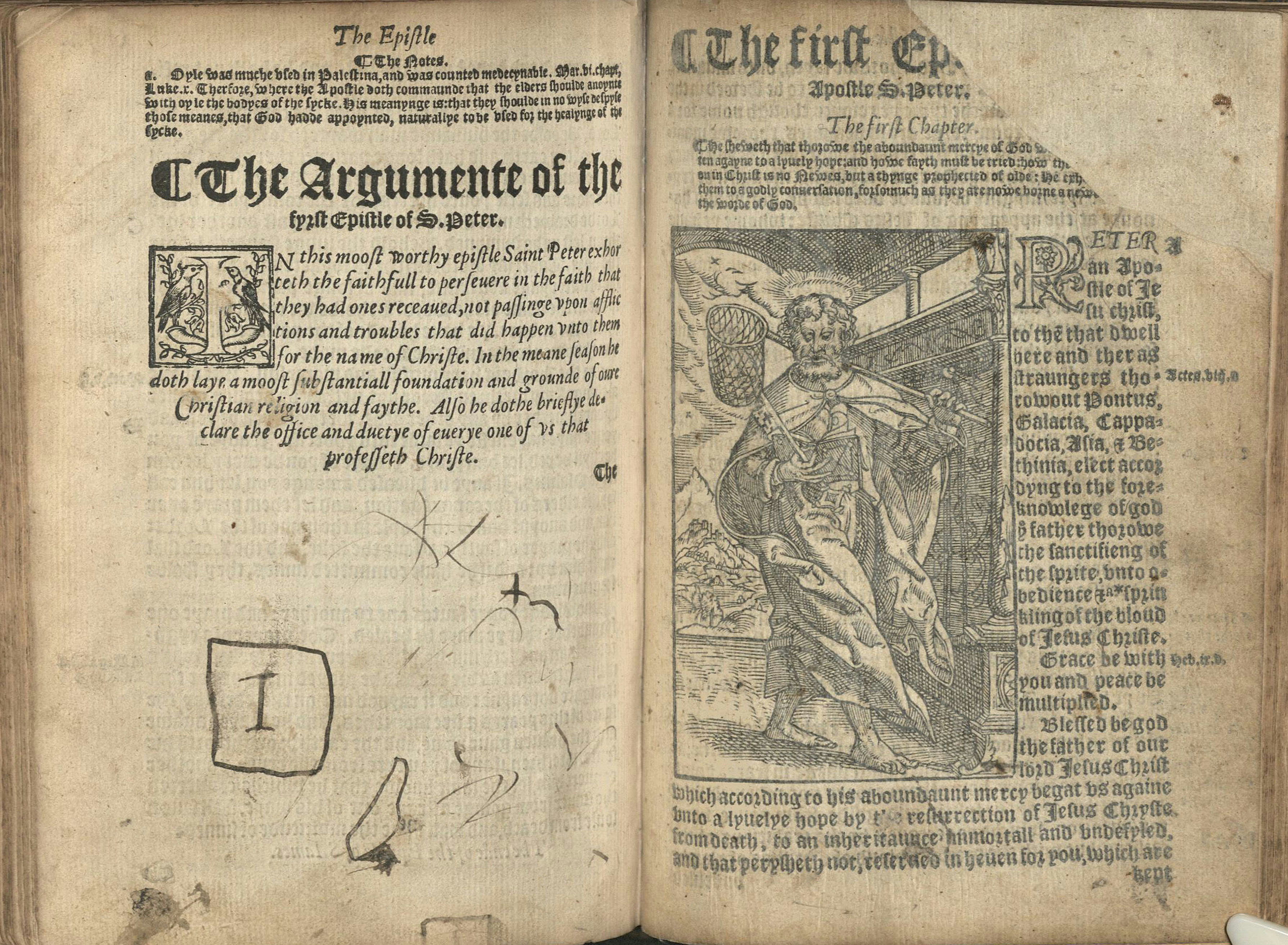 Home | Museum of the Bible