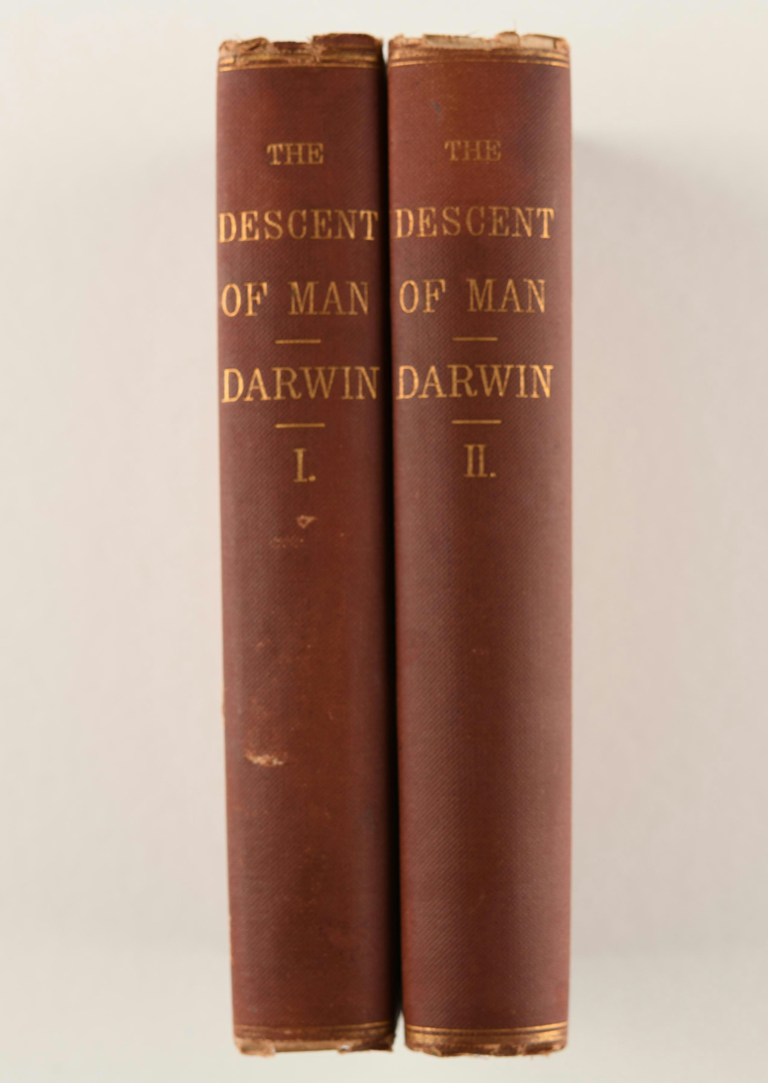 Home | Museum of the Bible