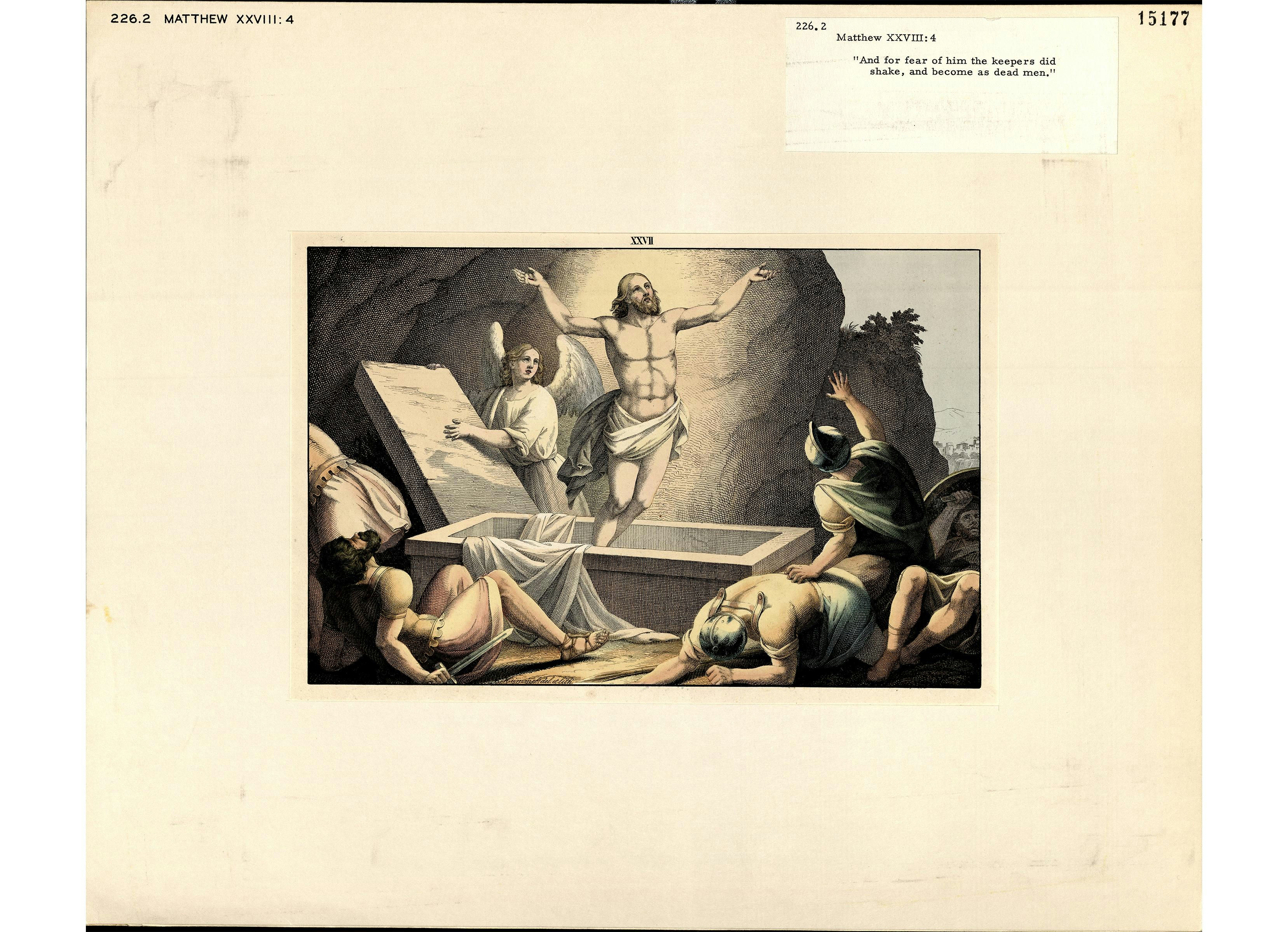 Home | Museum of the Bible