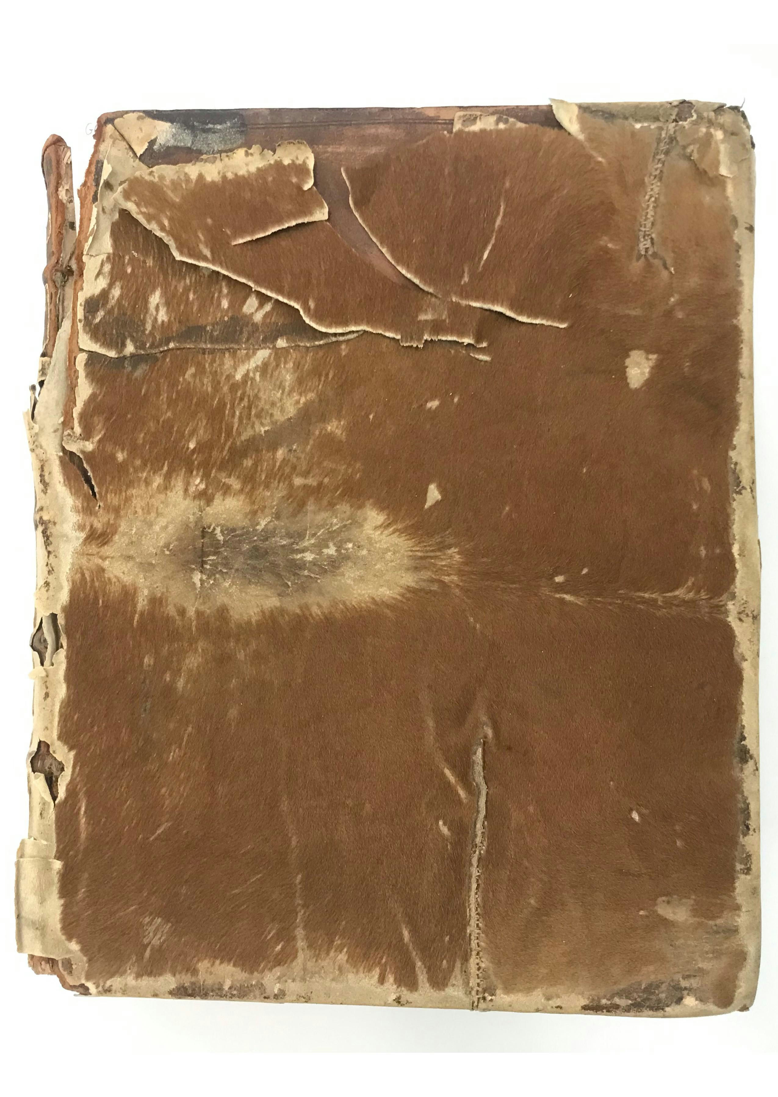 Home | Museum of the Bible