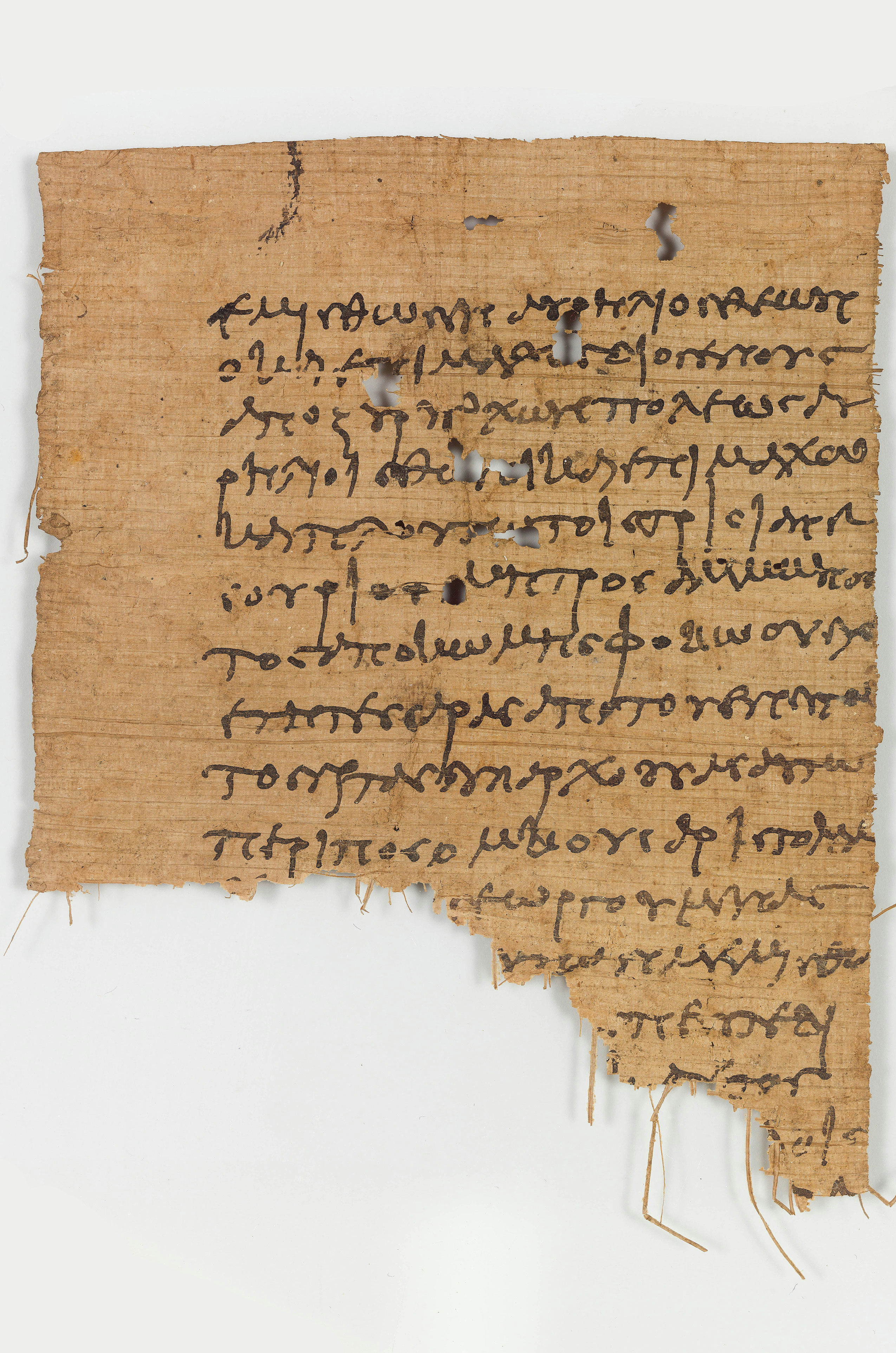 Home | Museum of the Bible