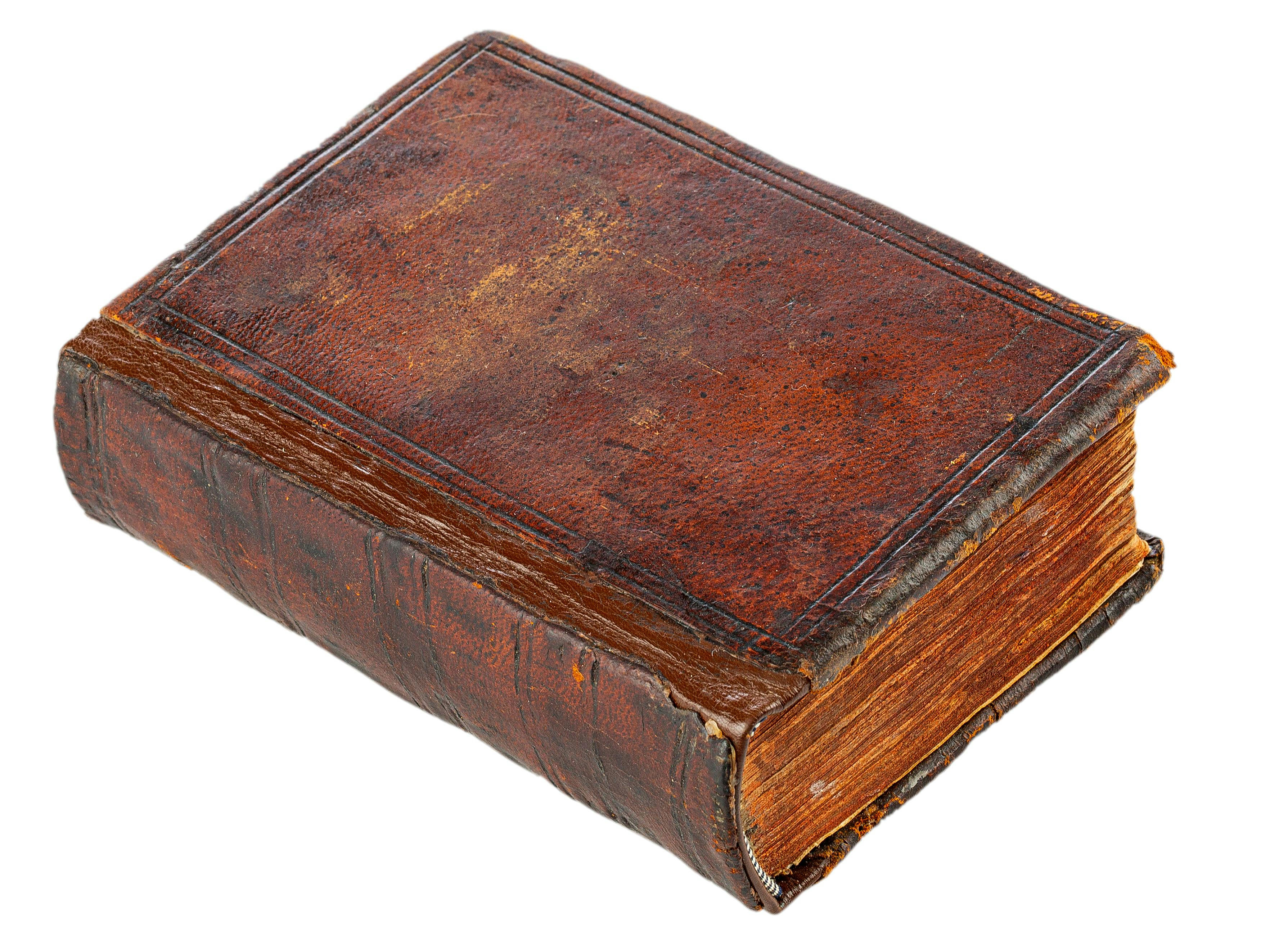 Home | Museum of the Bible