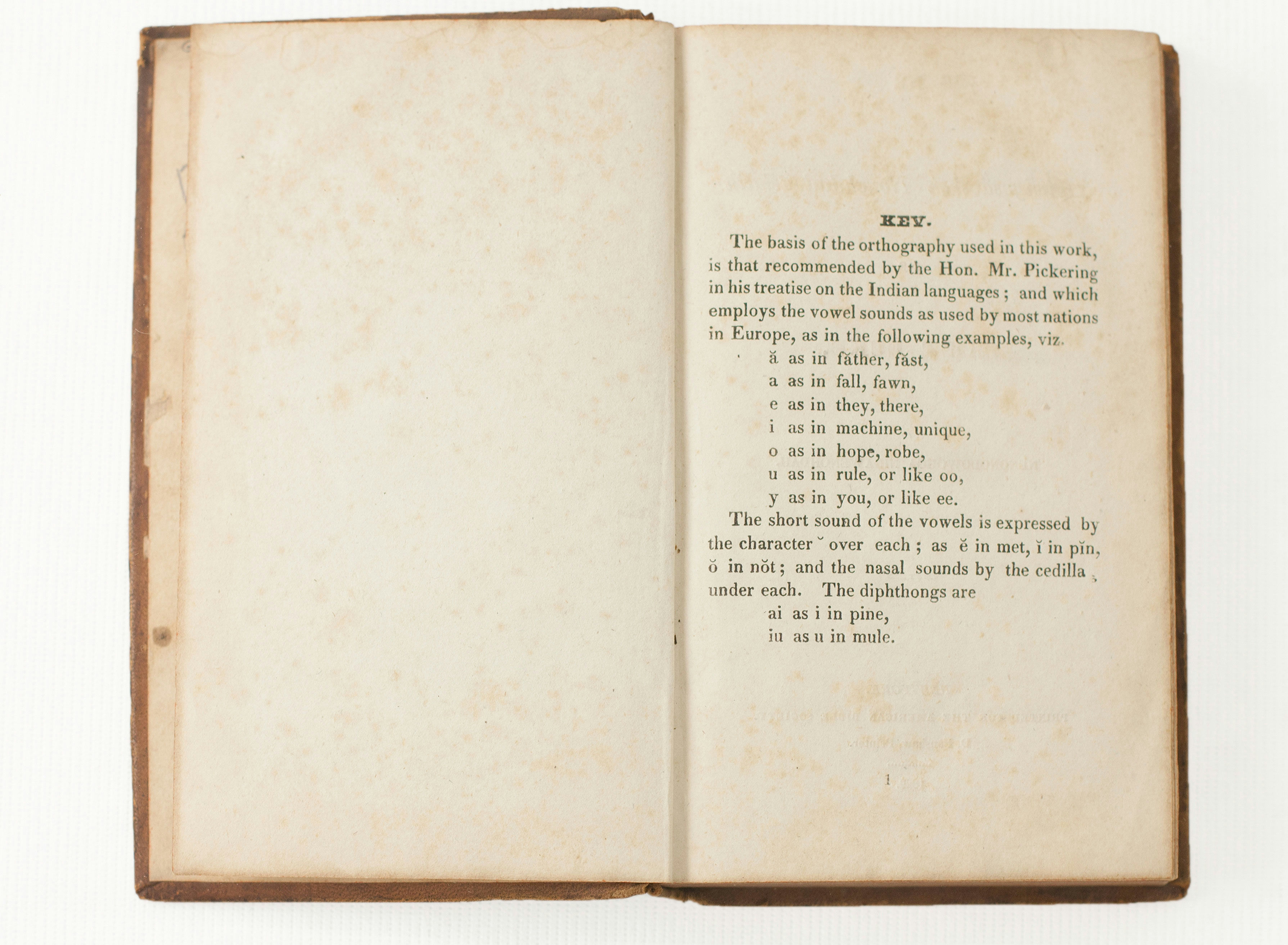 Home | Museum of the Bible