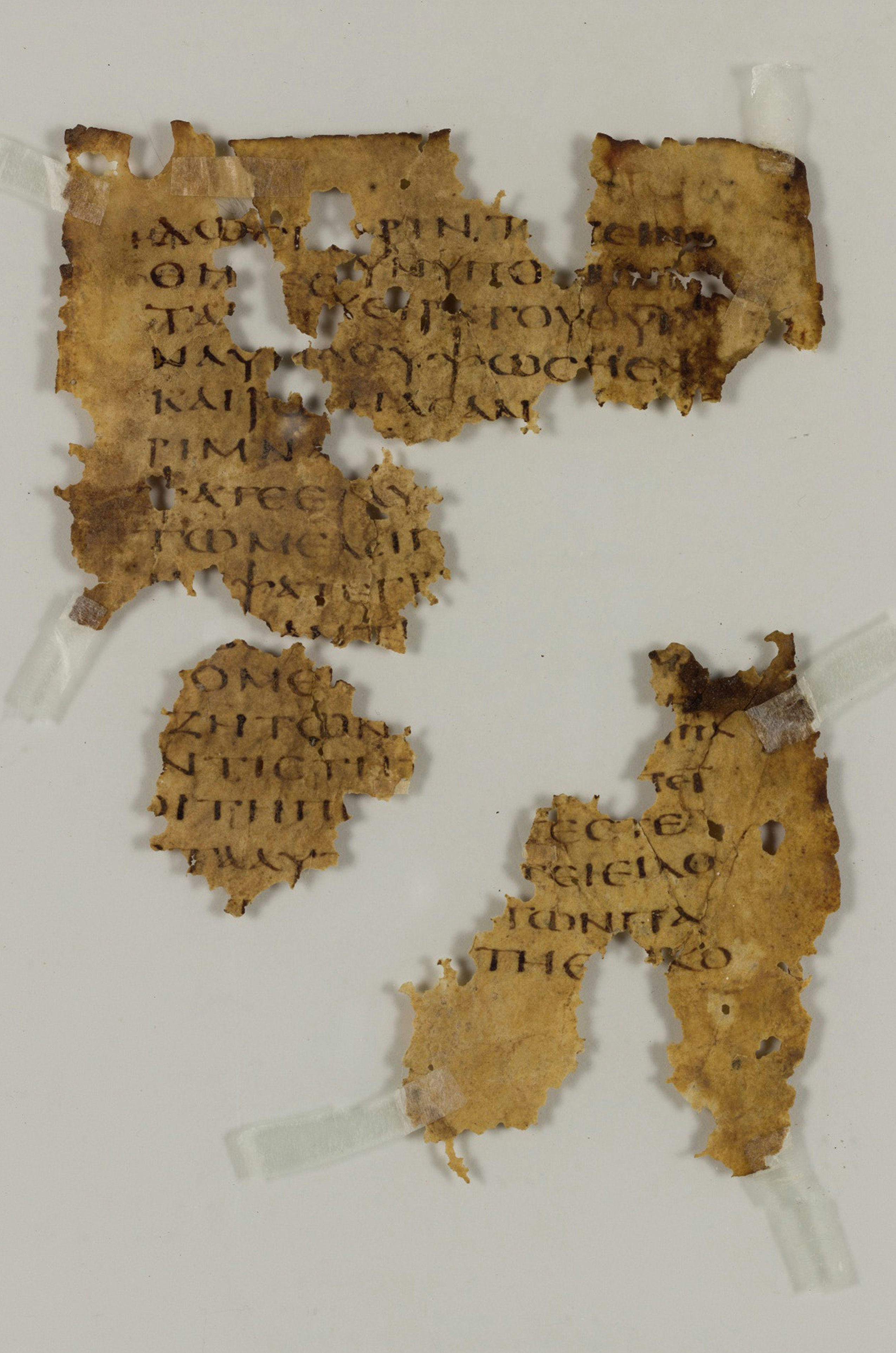 Home | Museum of the Bible