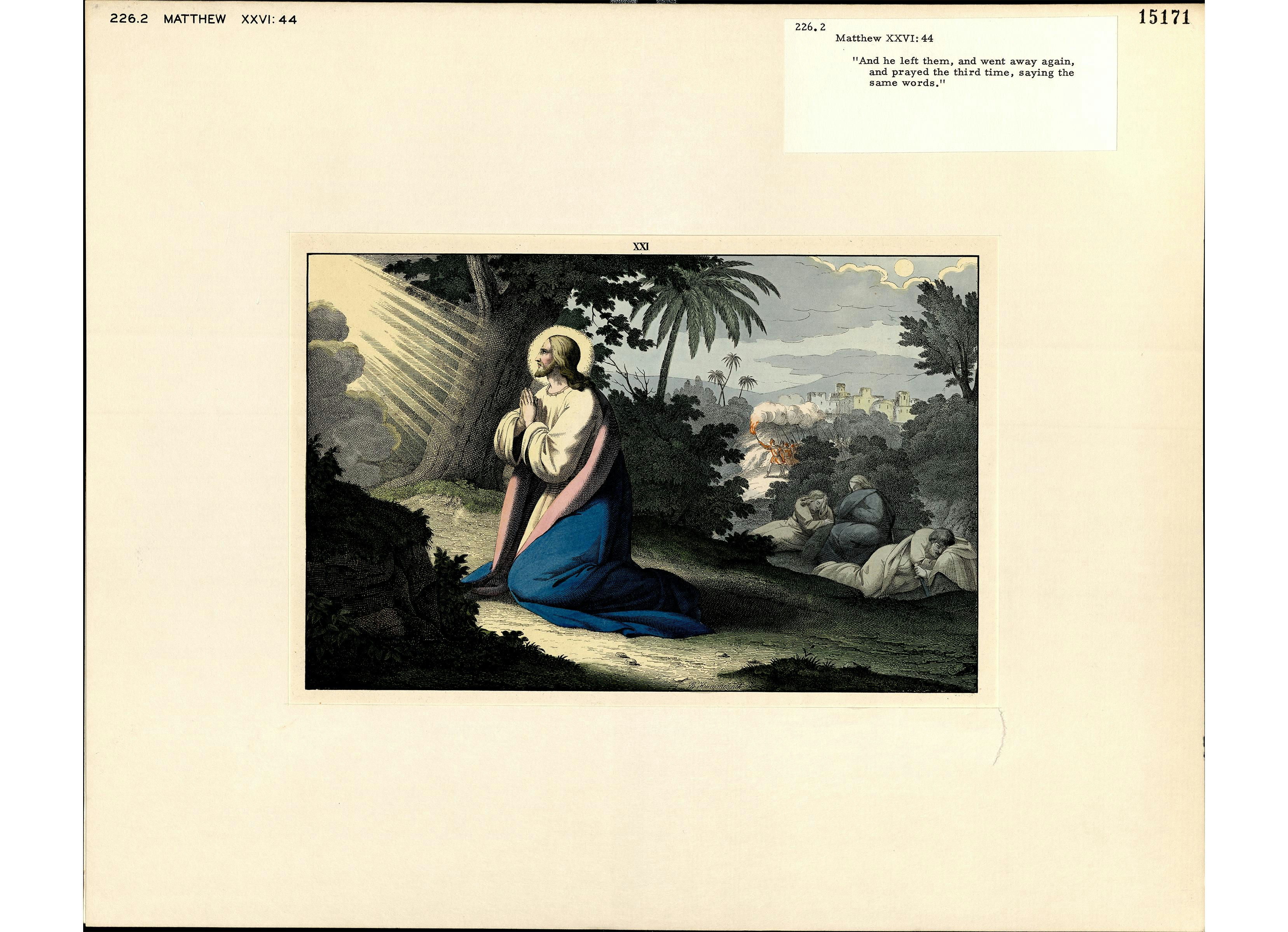 Home | Museum of the Bible