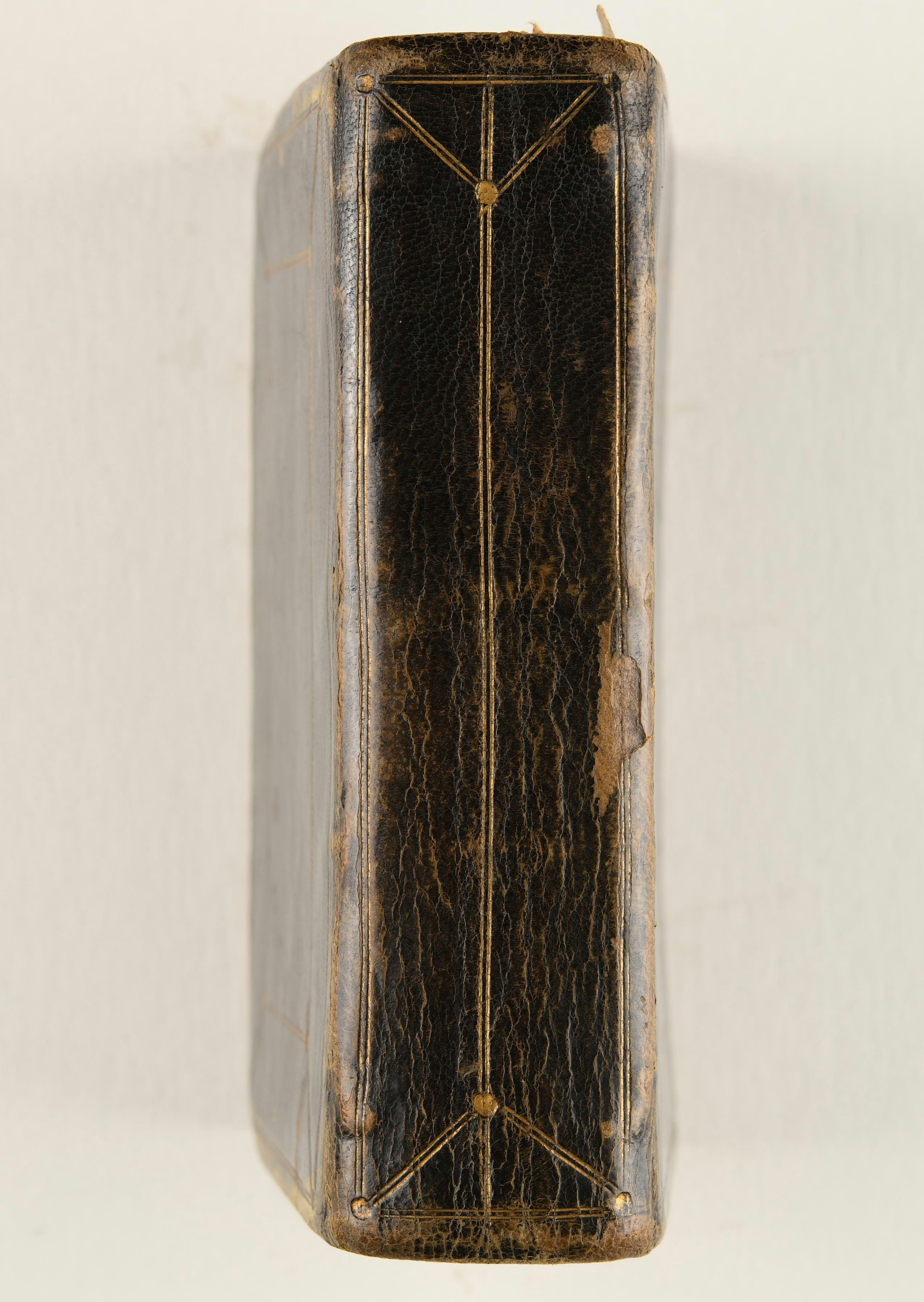 Collections | Museum of the Bible