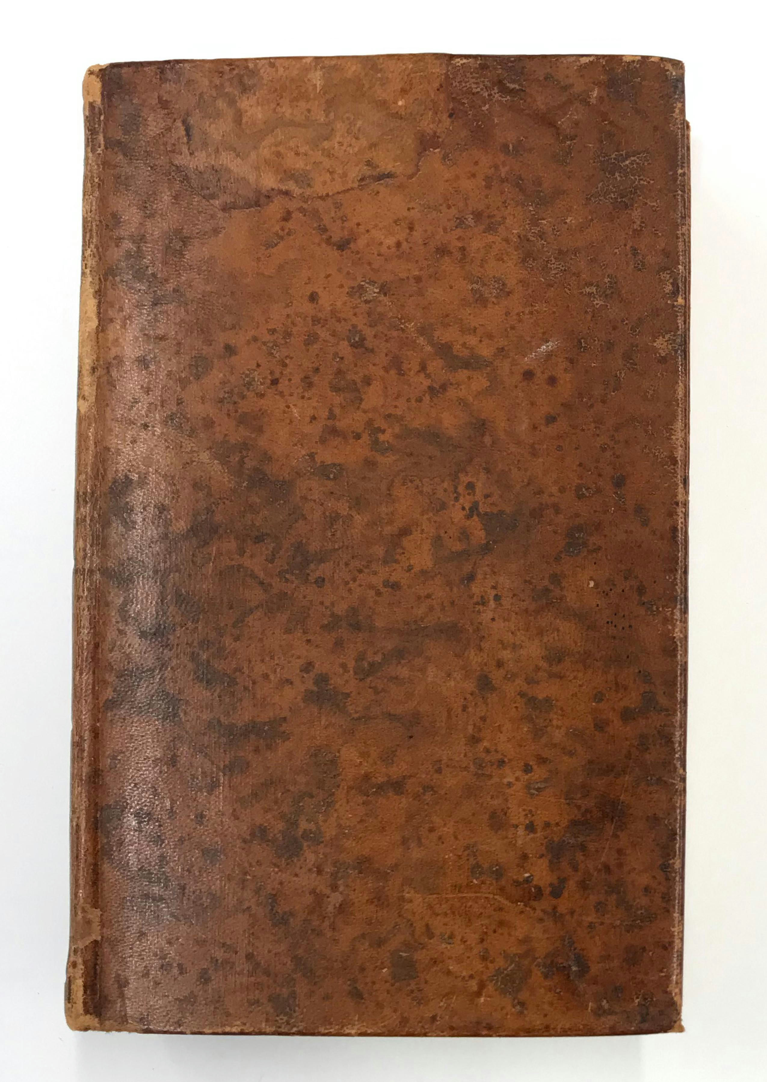 Collections | Museum of the Bible